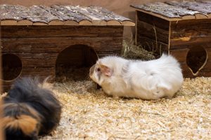 University Campus Doncaster